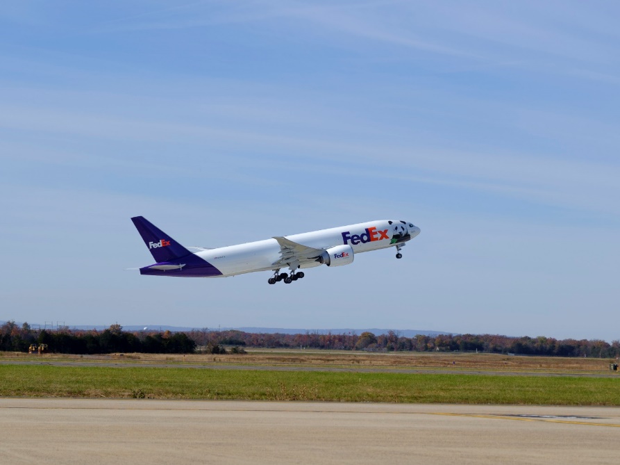 Giant Pandas Mei Xiang, Tian Tian, and Xiao Qi Ji Arrive in China on ...