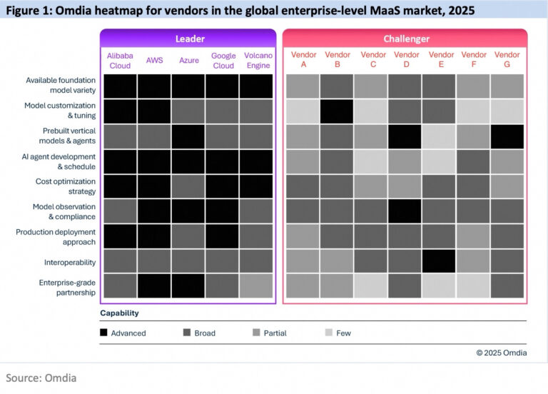 Alibaba Cloud Named a Leader in Omdia’s Global Enterprise-Level MaaS ...